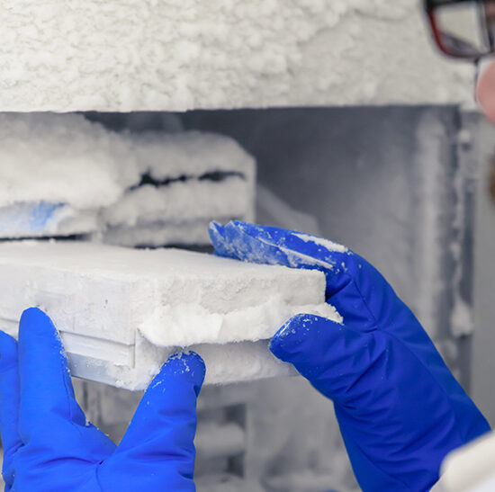 Proper Food Cooling Process for Restaurants: How to Speed Up Safely