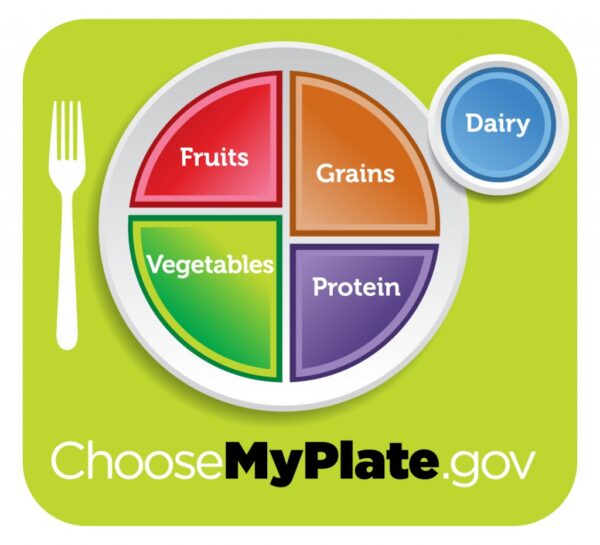 USDA MyPlate Campaign and HACCP Food Inspection System